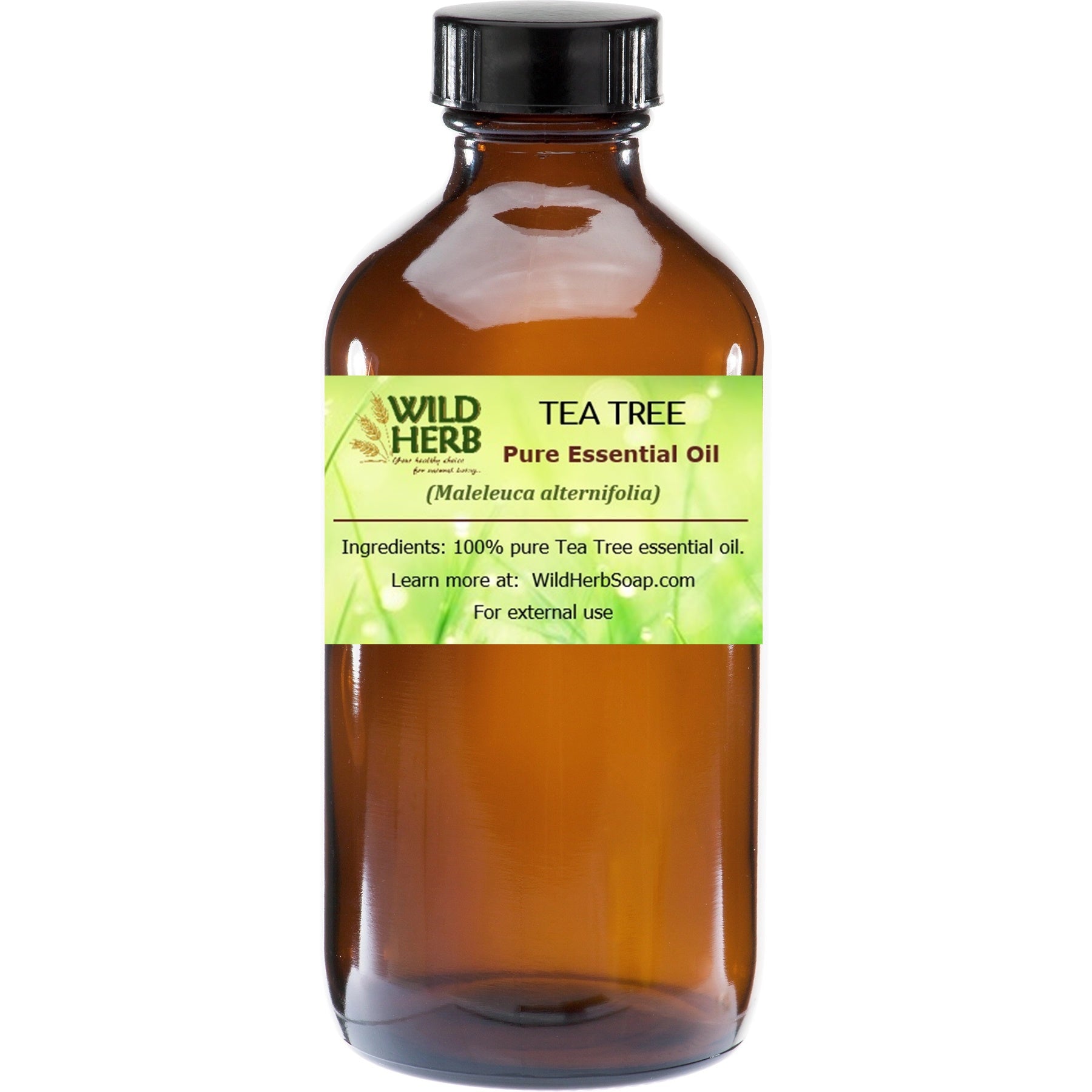 Wild Herb Tea Tree Malaleuca Pure Therapeutic Aromatherapy Essential ...